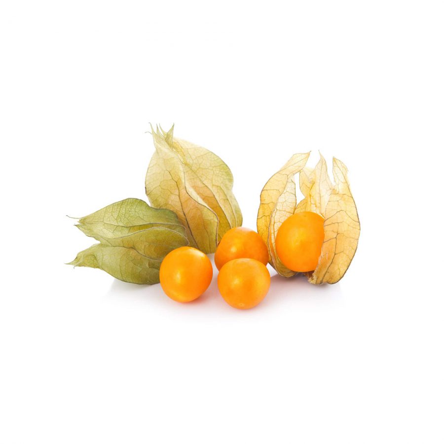 Shop – Shreeji Food